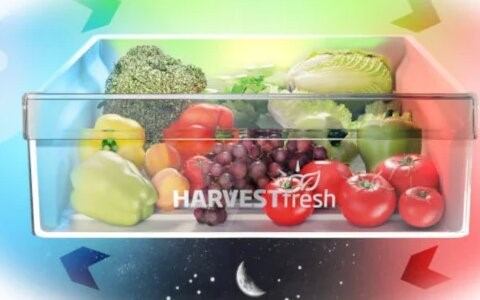 Beko 309 Litre Integrated Larder Fridge BLSD4V577 | Appliances Direct